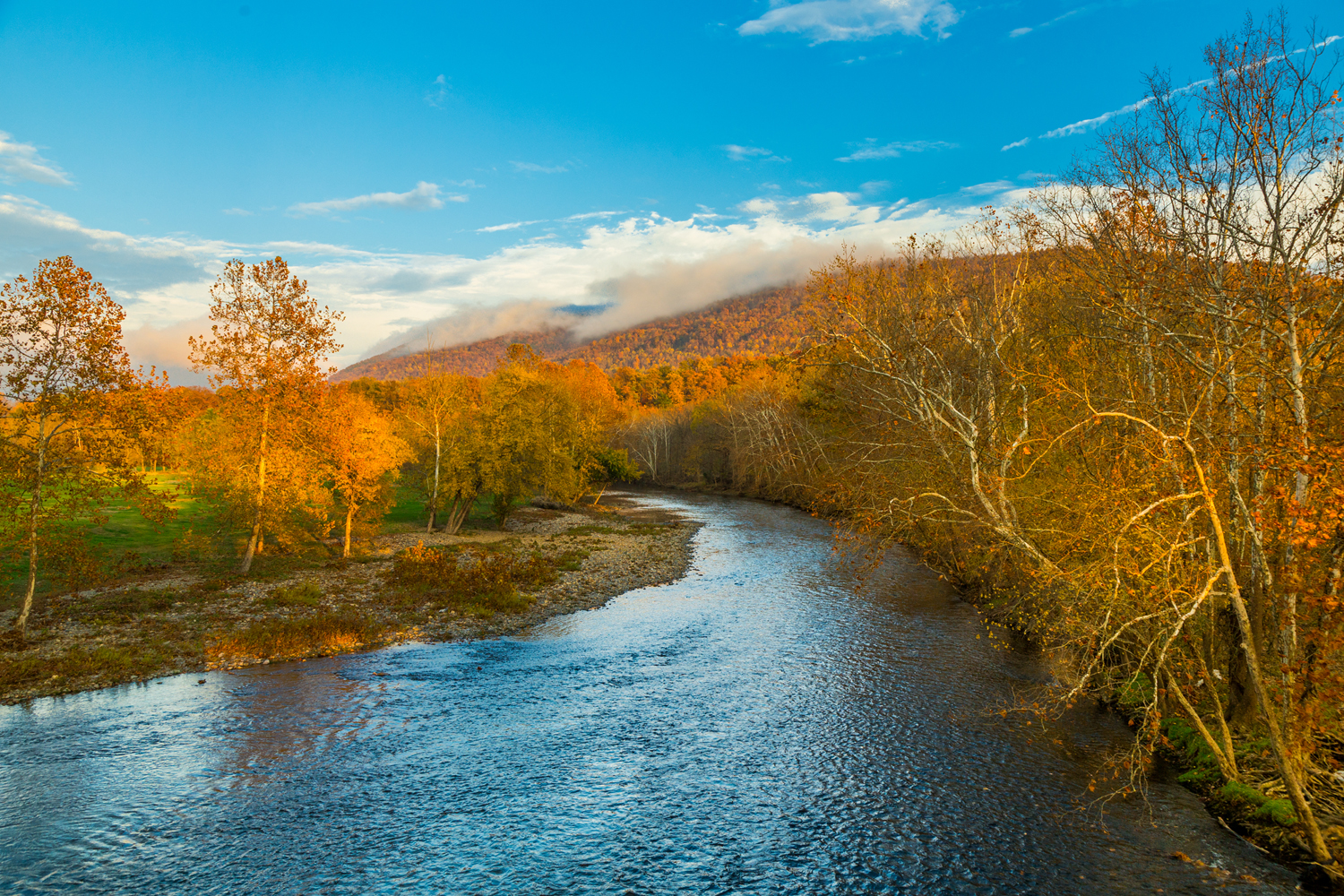 9 Reasons to Visit the Alleghany Highlands This Fall - Alleghany Highlands